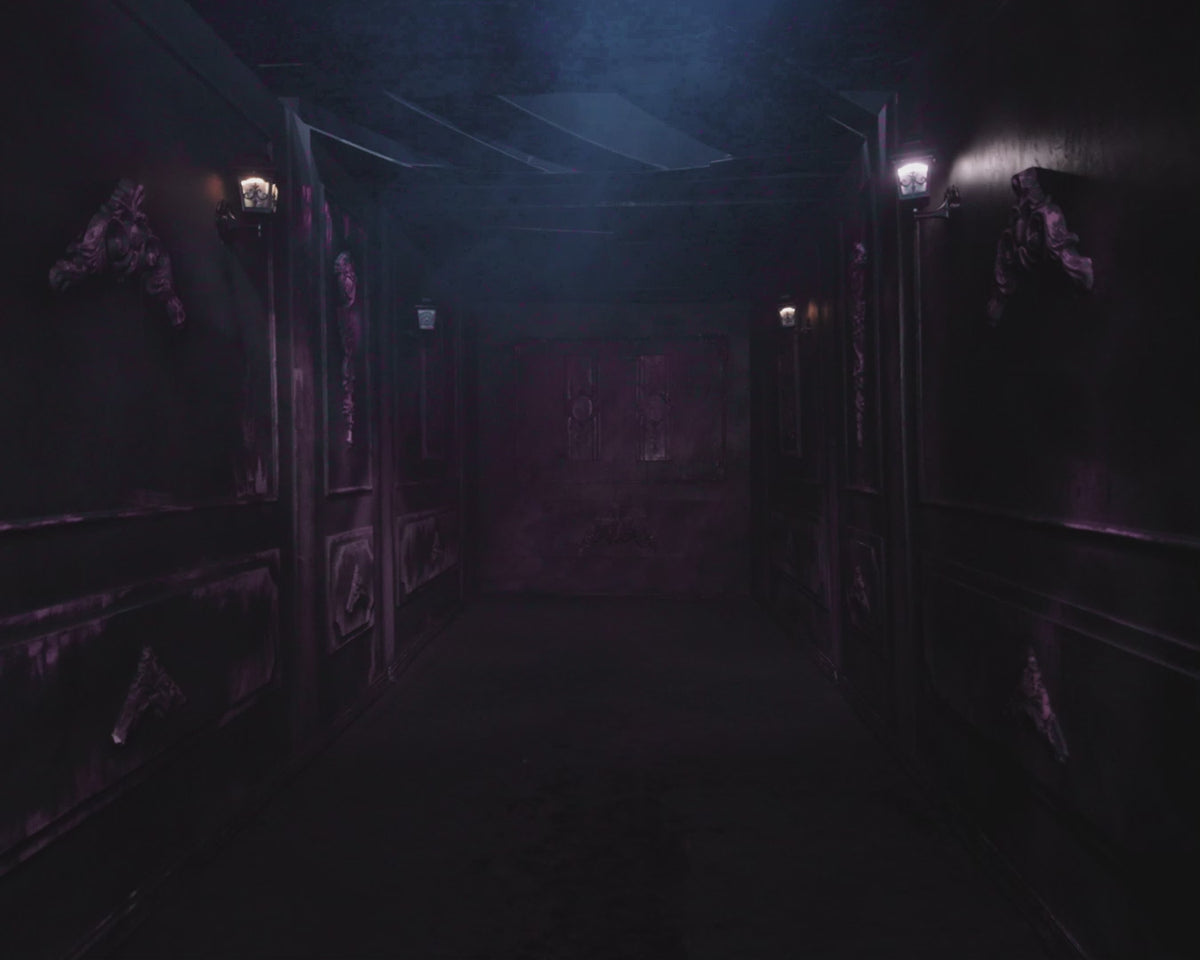 FENG SYSTEM OFFICIAL SITE